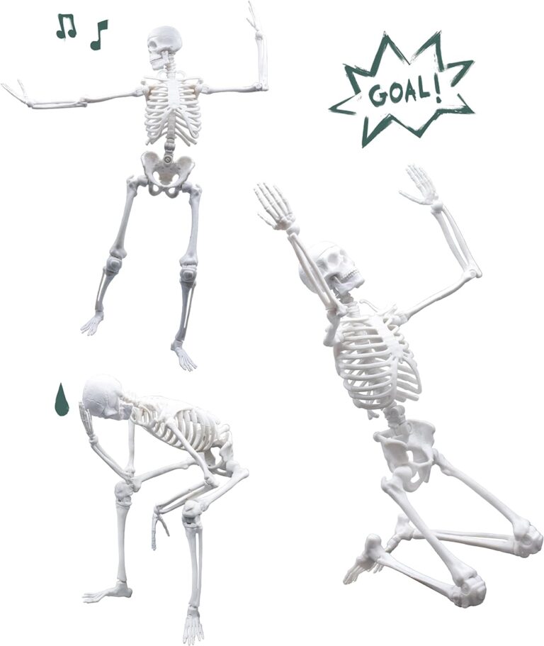 The human body skeleton for children - a human skeleton model from Buki ...